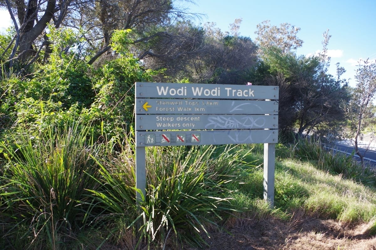 Randonnée : Wodi Wodi Track | Blog de mes Voyages
